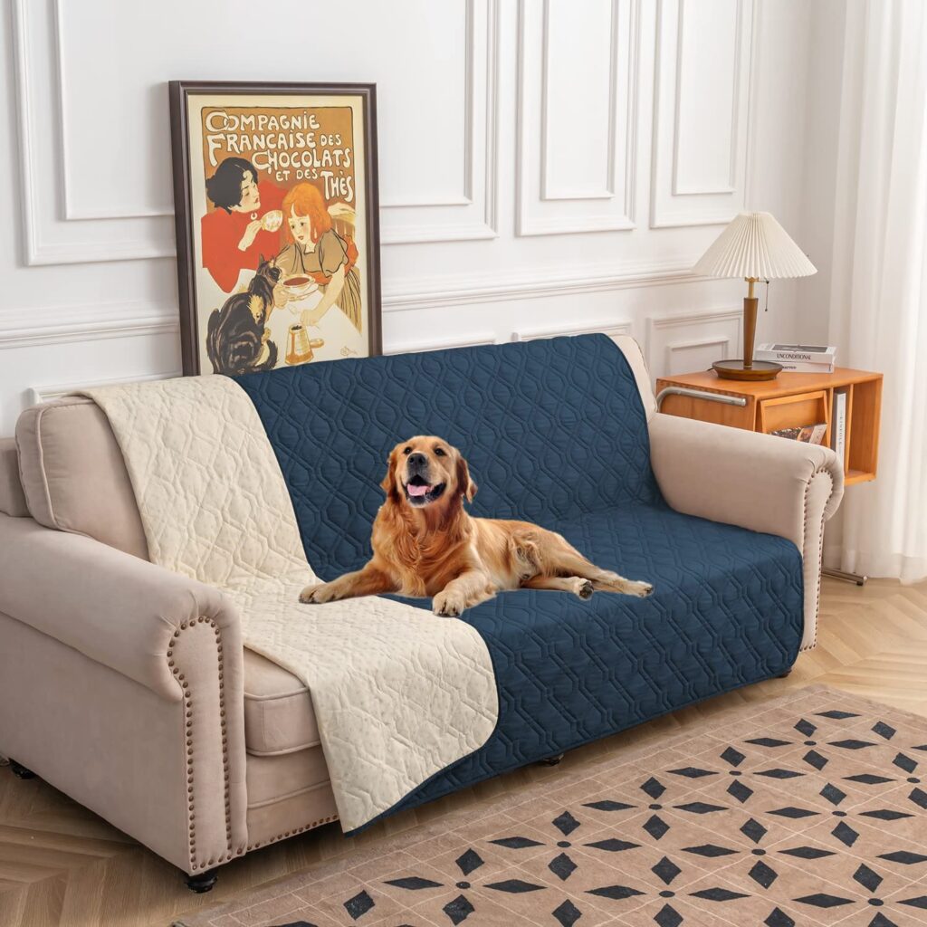 La Manta Perfecta para tu Perro | DIVANI